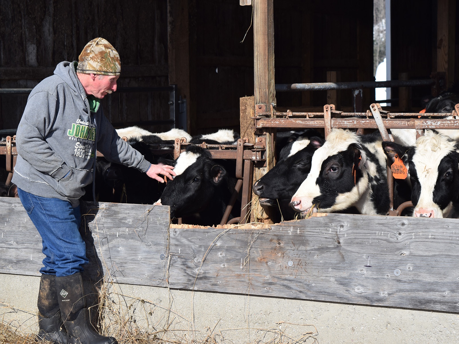 David and Michele Parker | VEDA