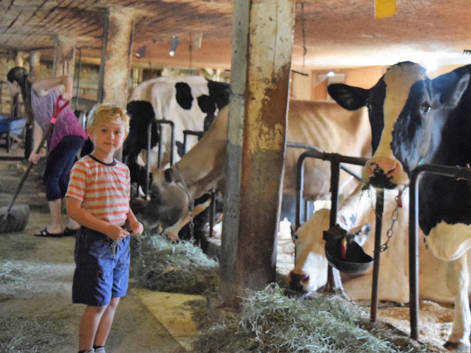 Edward and Kelly Meacham | VEDA