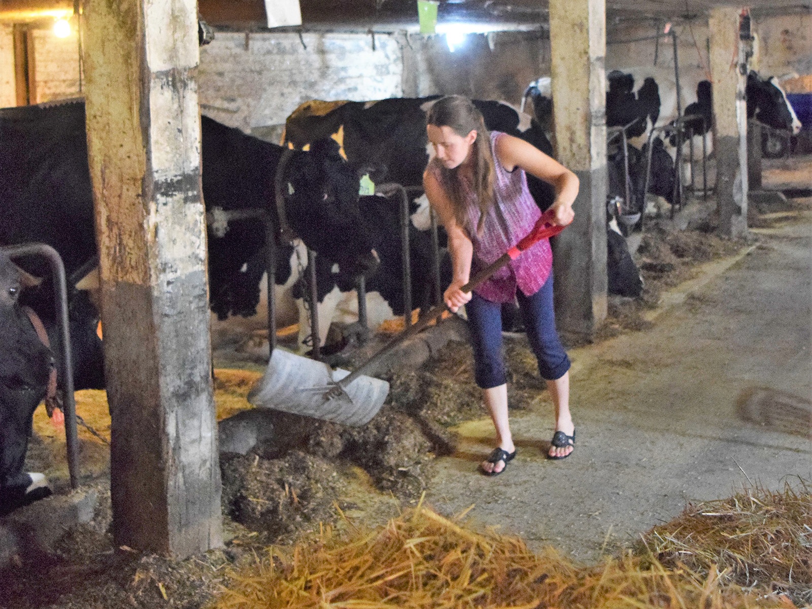 Edward and Kelly Meacham | VEDA