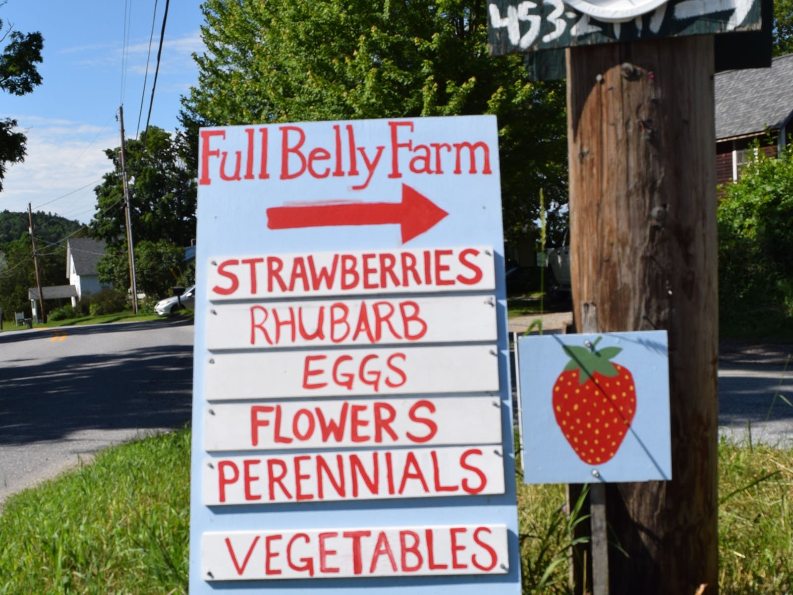 Full Belly Farm | VEDA