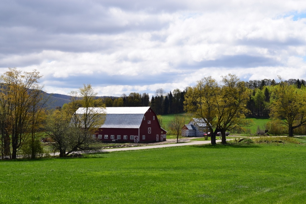 Honest to Goodness Farm | VEDA