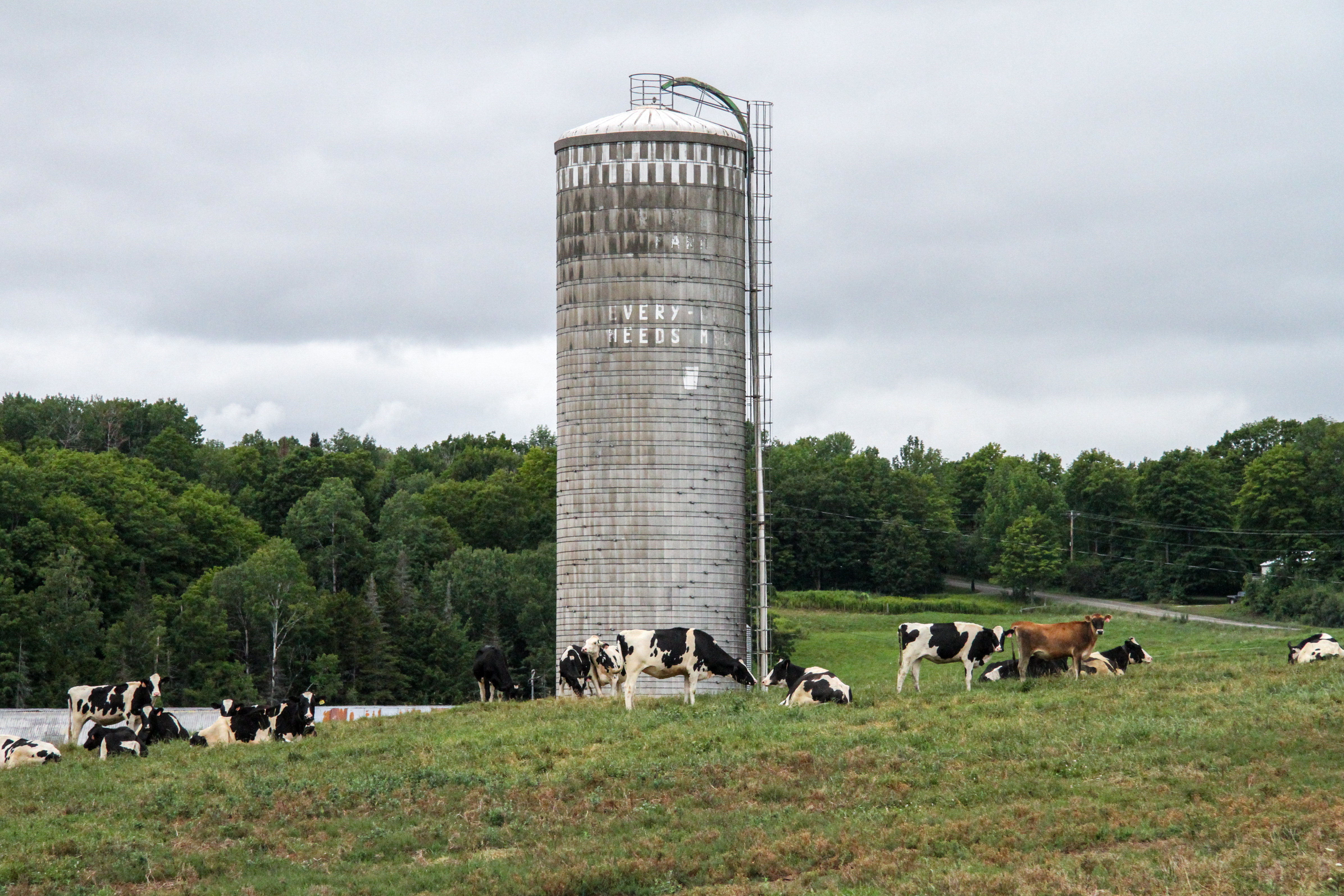 Lambert Farm | VEDA