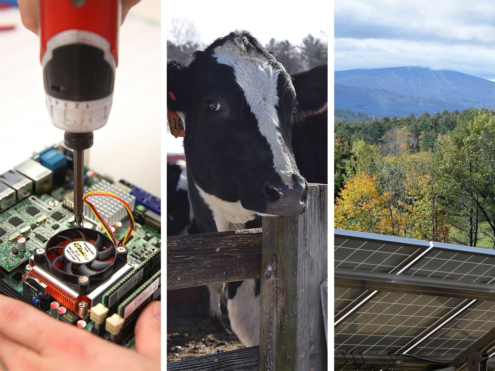 Vermont Economic Development Authority | VEDA