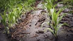 Disaster Recovery Loan Fund | VEDA