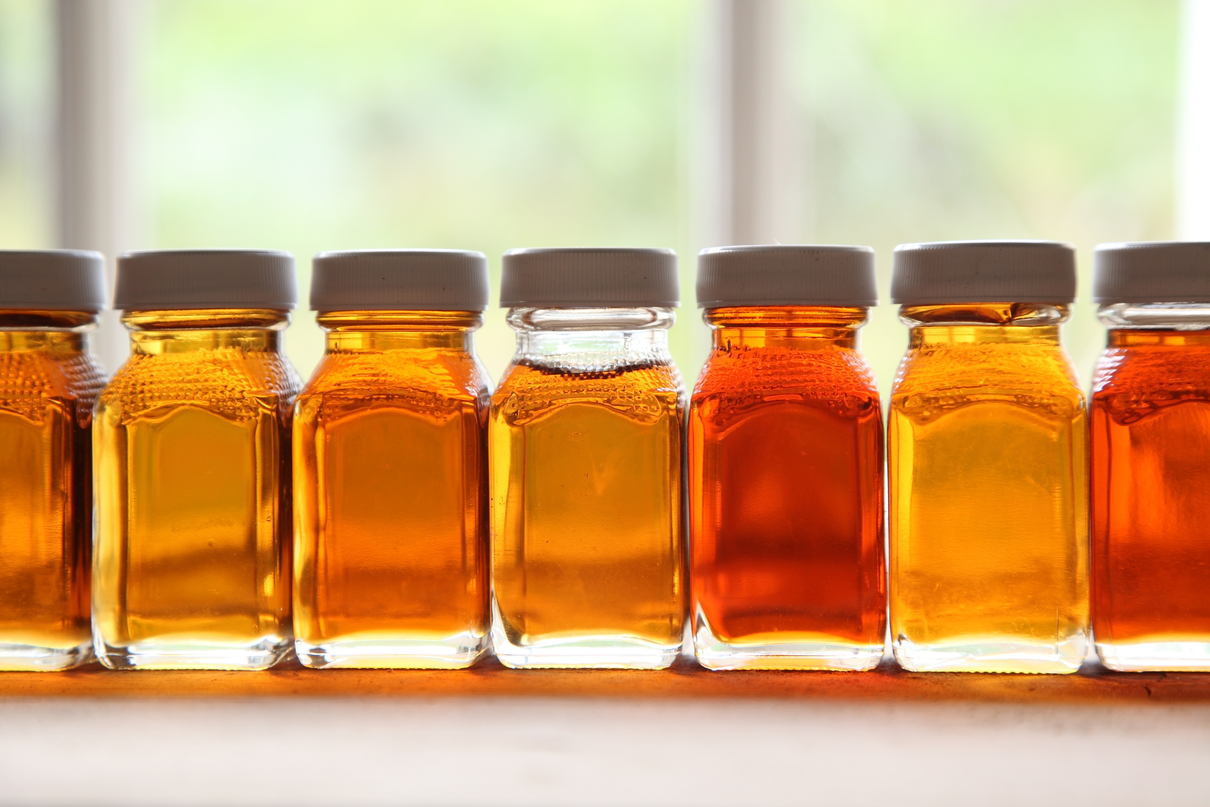 VEDA Loan Committee Meeting - March 28, 2025