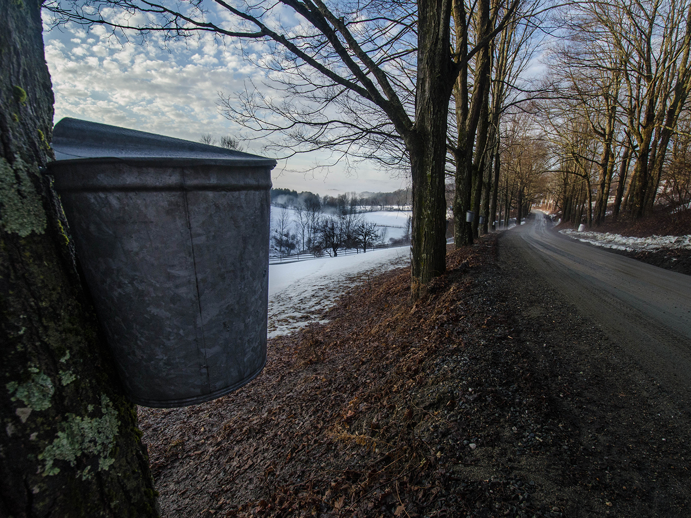 VEDA March 29, 2024 Loan Committee Meeting